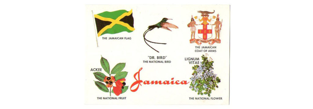 Home - Jamaica Live